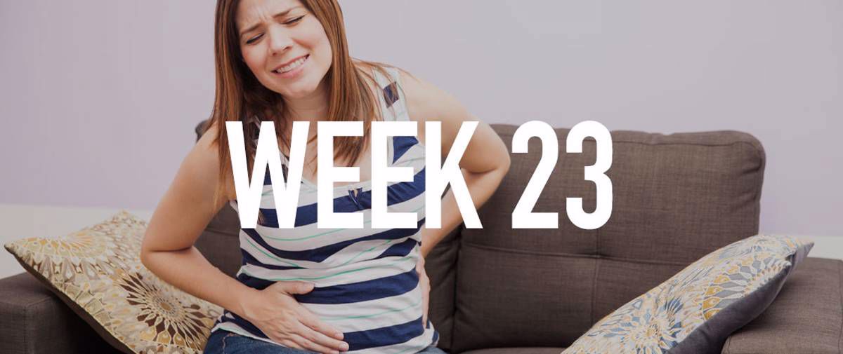 Your Pregnancy at Week 23